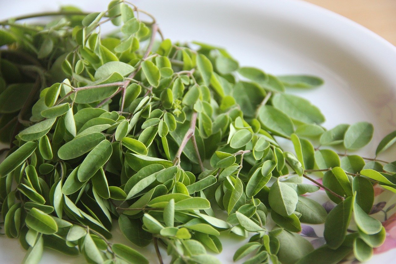 La Moringa fa Dimagrire? Ecco cosa dice la Scienza